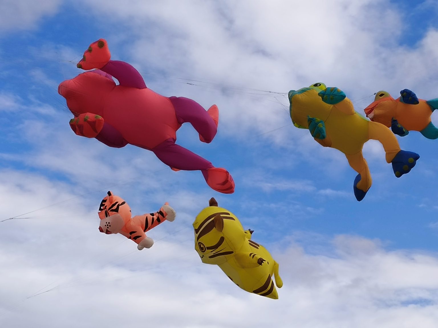 苗栗2025風箏文化暨客家美食節10/24盛大登場 – 集新聞 intime NEWS